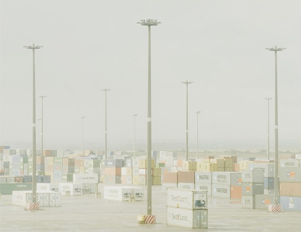 I need a guide: david ryle